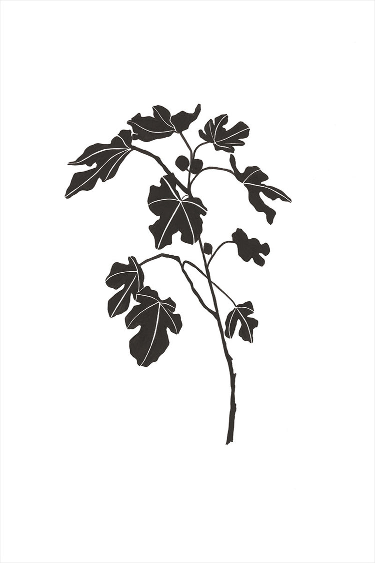 Fig Leaves II – Juniper Print Shop