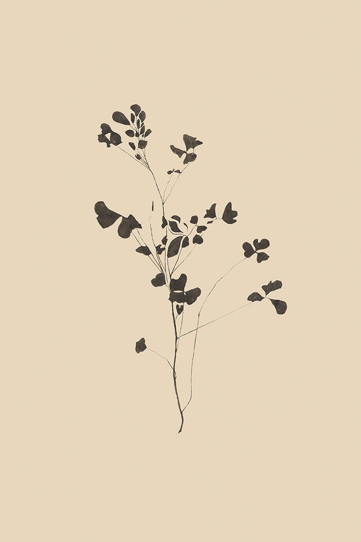 Back Gate – Juniper Print Shop