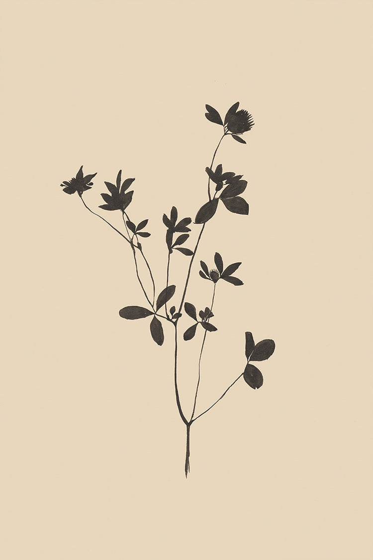 Forage I – Juniper Print Shop