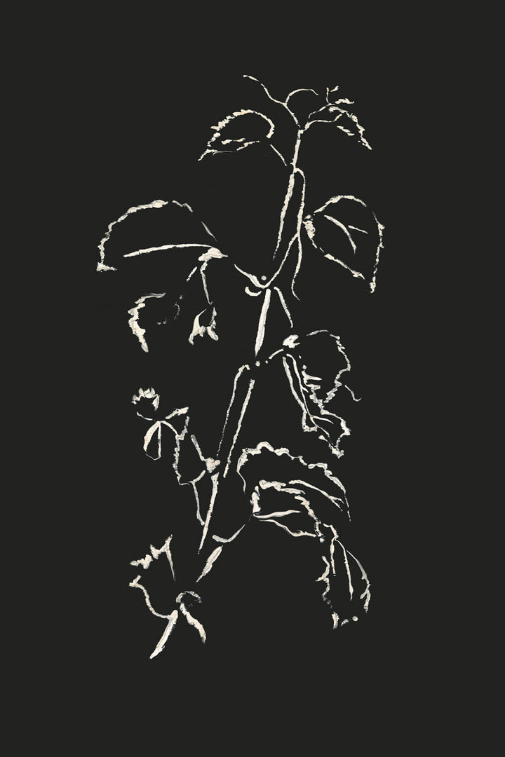 Dark Night – Juniper Print Shop