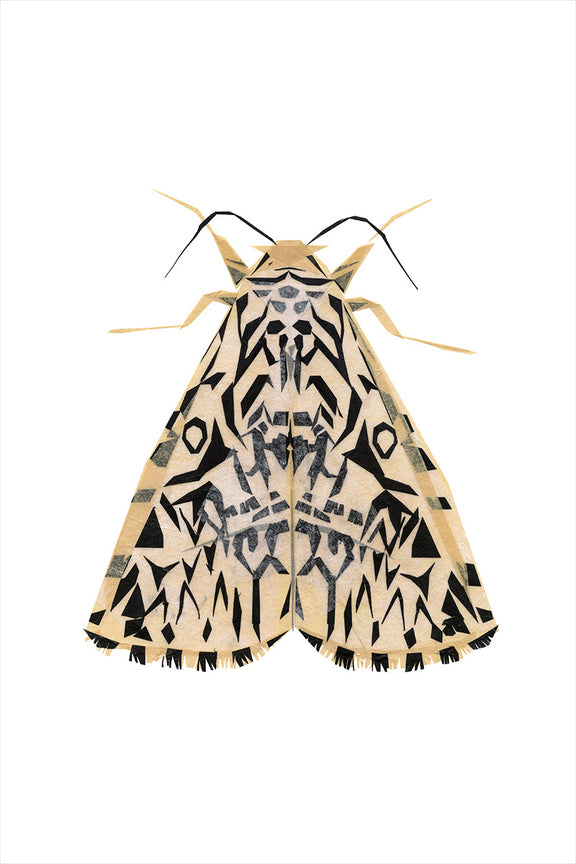 Moth II – Juniper Print Shop