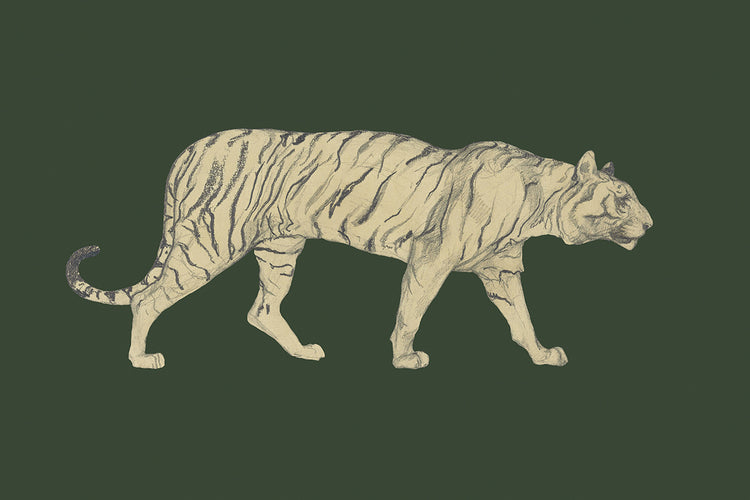 Tiger – Juniper Print Shop